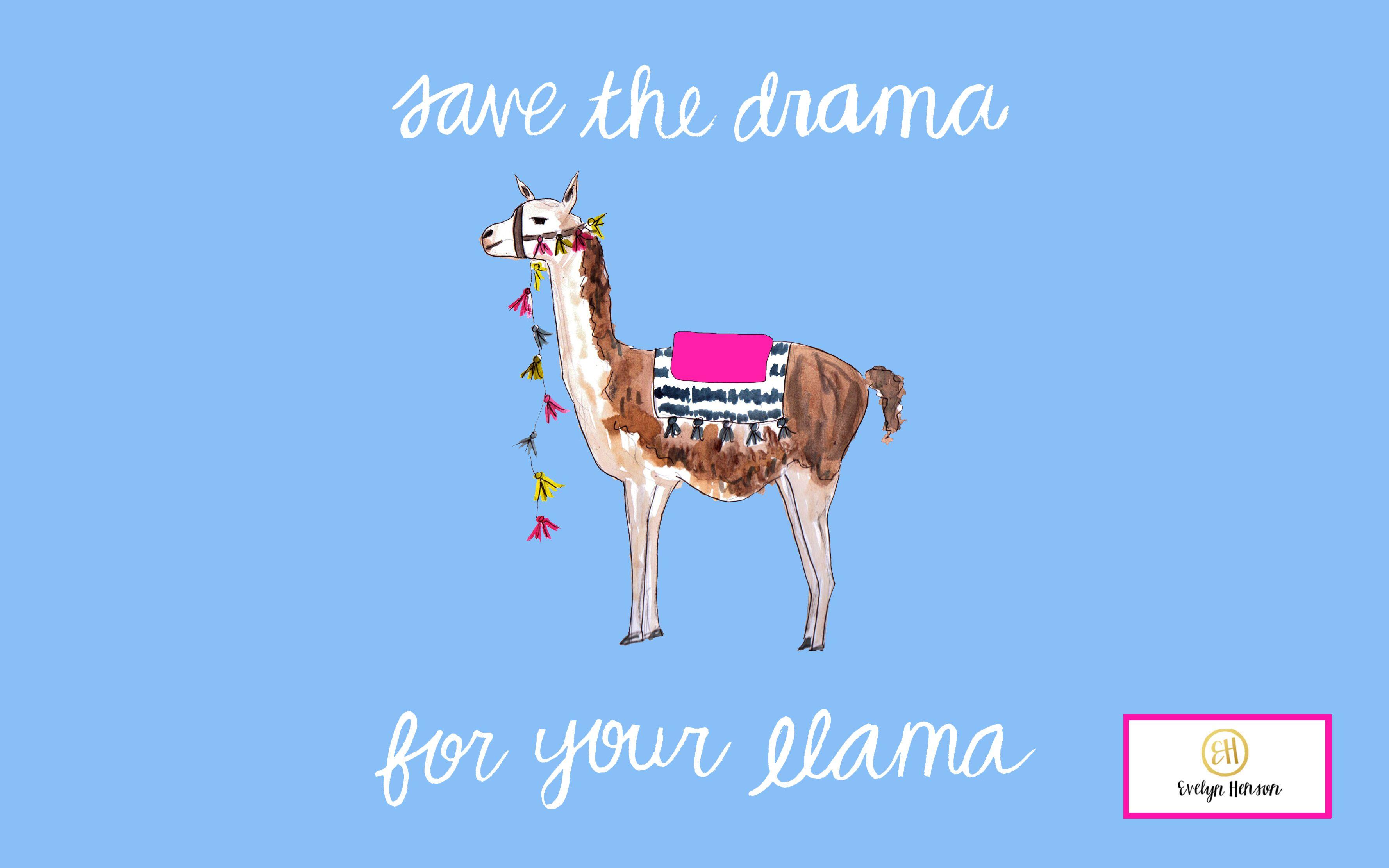 Llama Laptop Wallpapers - Top Free Llama Laptop Backgrounds ...
