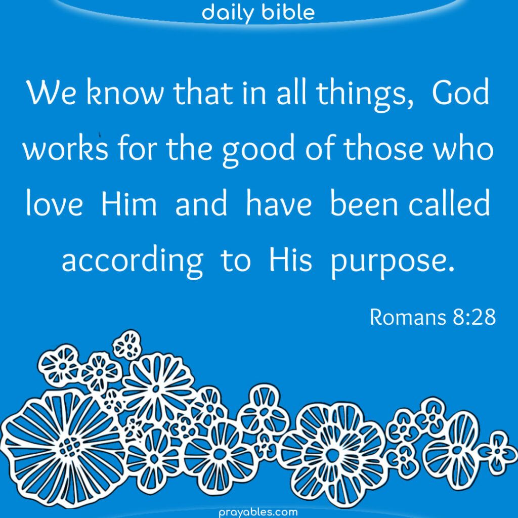 Romans 8:28 Wallpapers - Top Free Romans 8:28 Backgrounds - WallpaperAccess