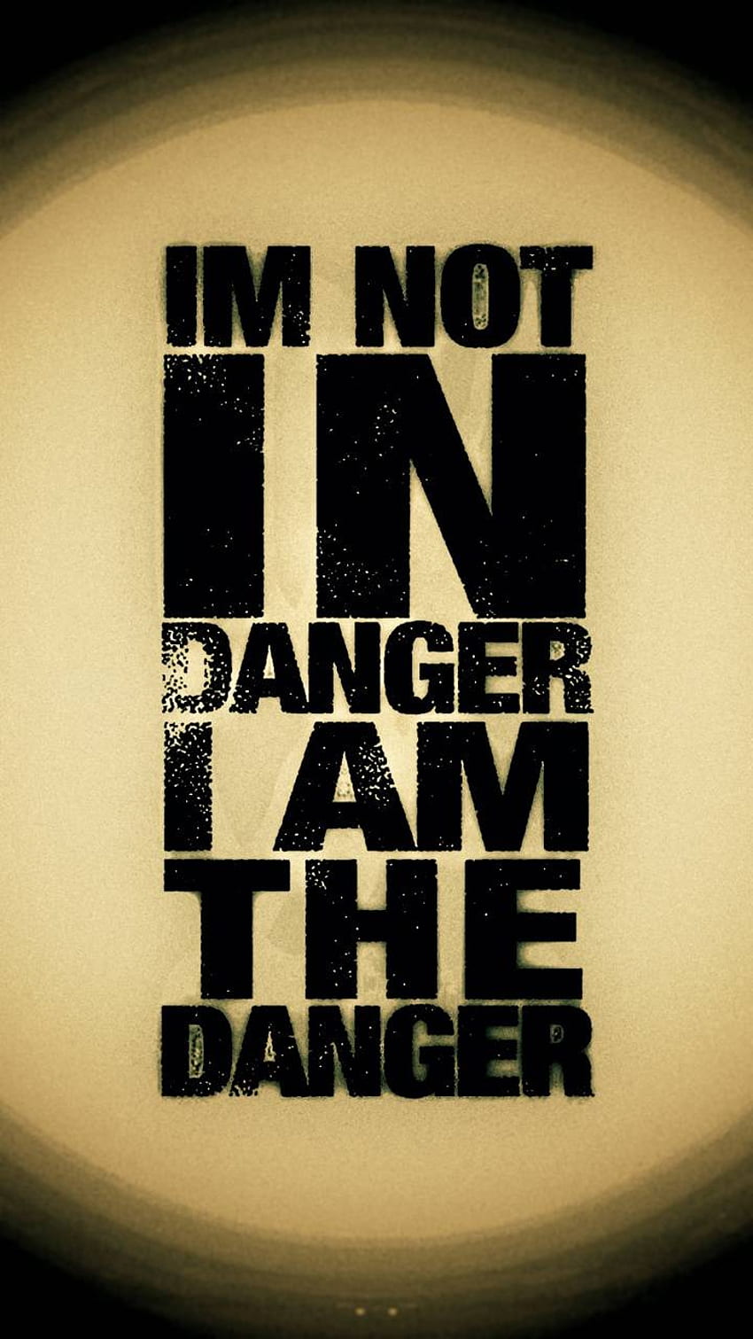 I Am The Danger Wallpapers - Top Free I Am The Danger Backgrounds ...