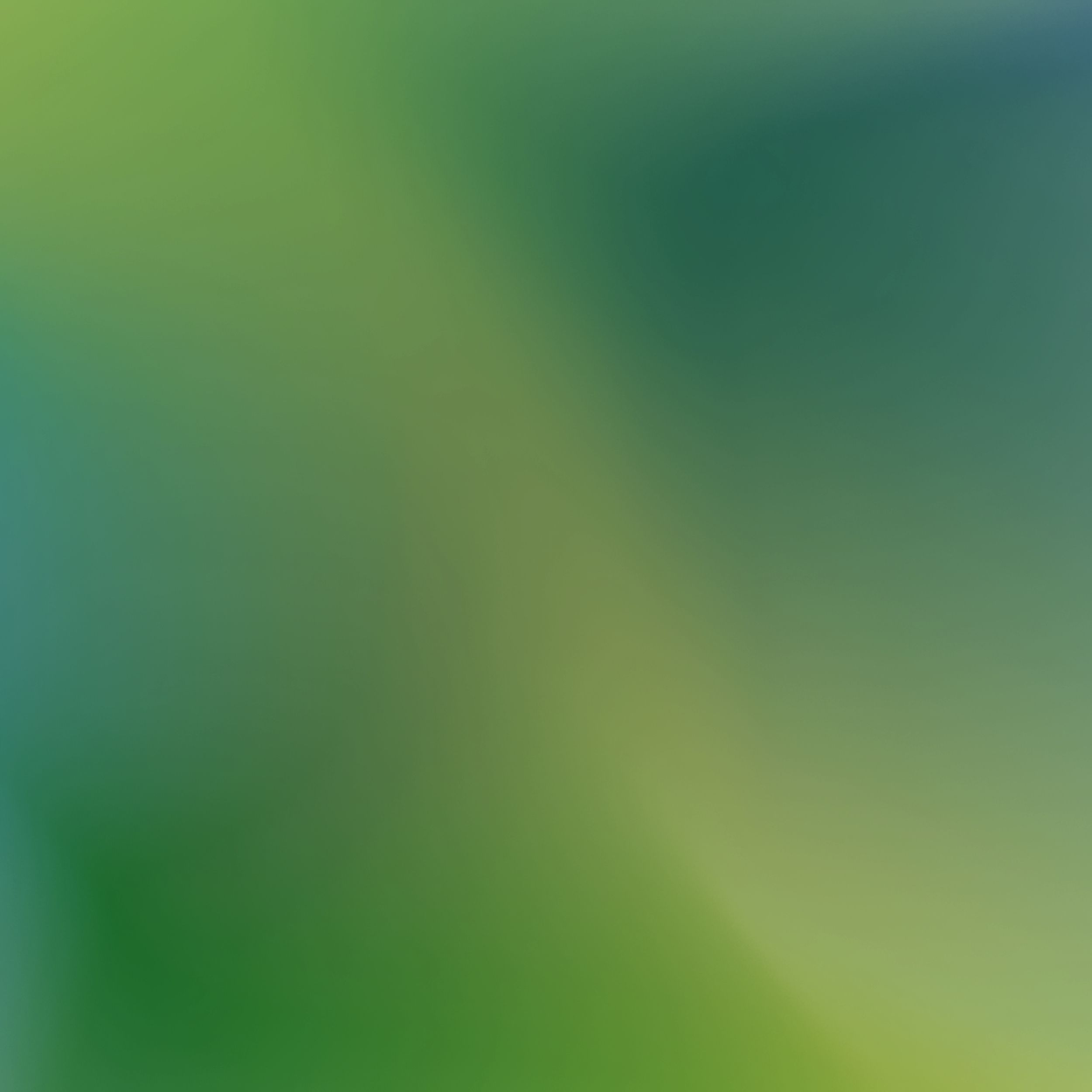 Green Gradation Wallpapers - Top Free Green Gradation Backgrounds ...