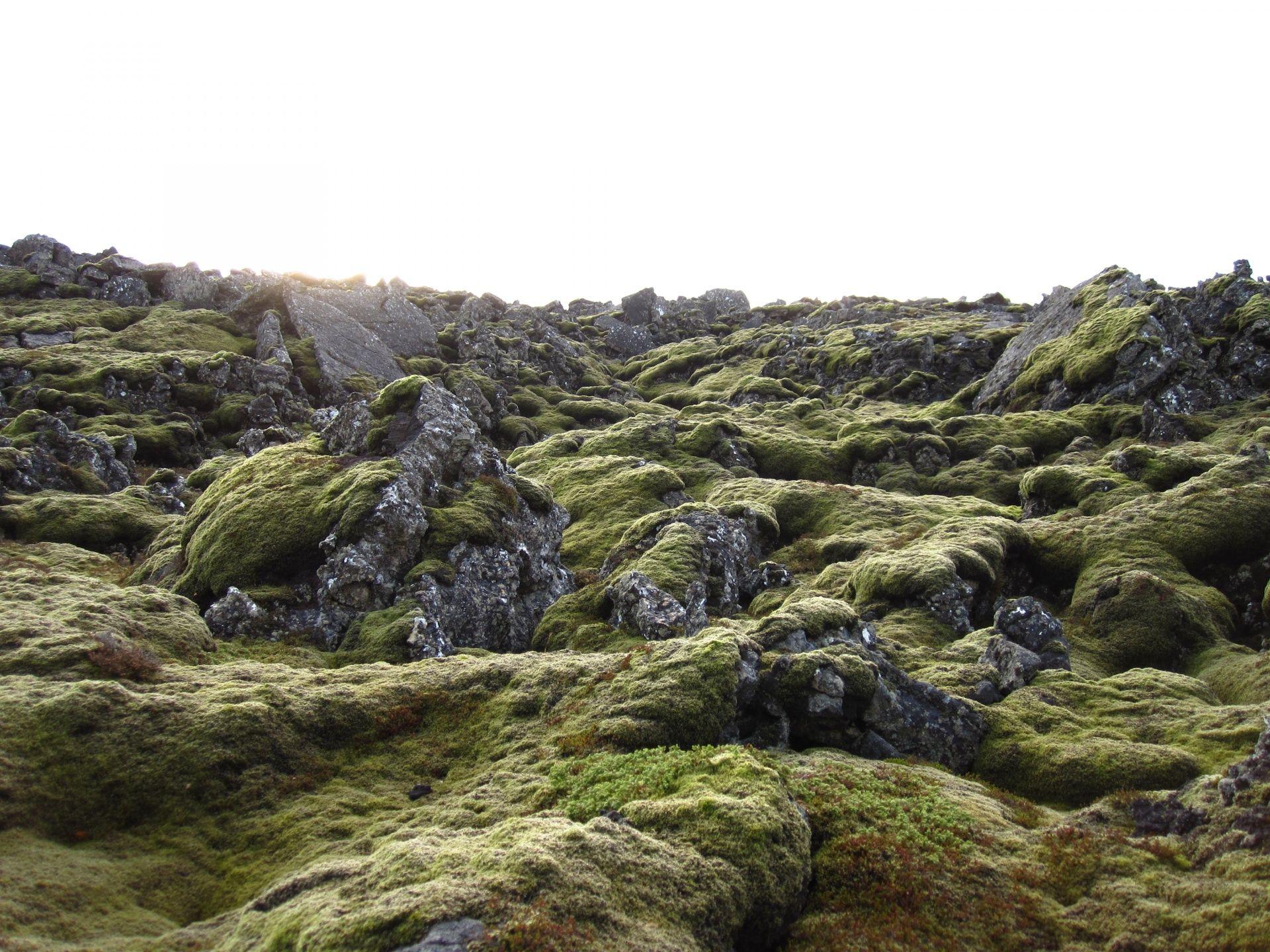 Rocky Landscape Wallpapers - Top Free Rocky Landscape Backgrounds ...