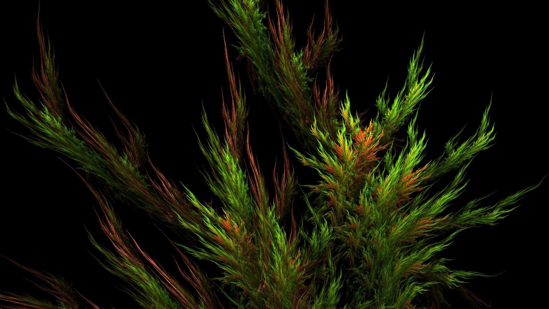 Organic Wallpapers - Top Free Organic Backgrounds - WallpaperAccess