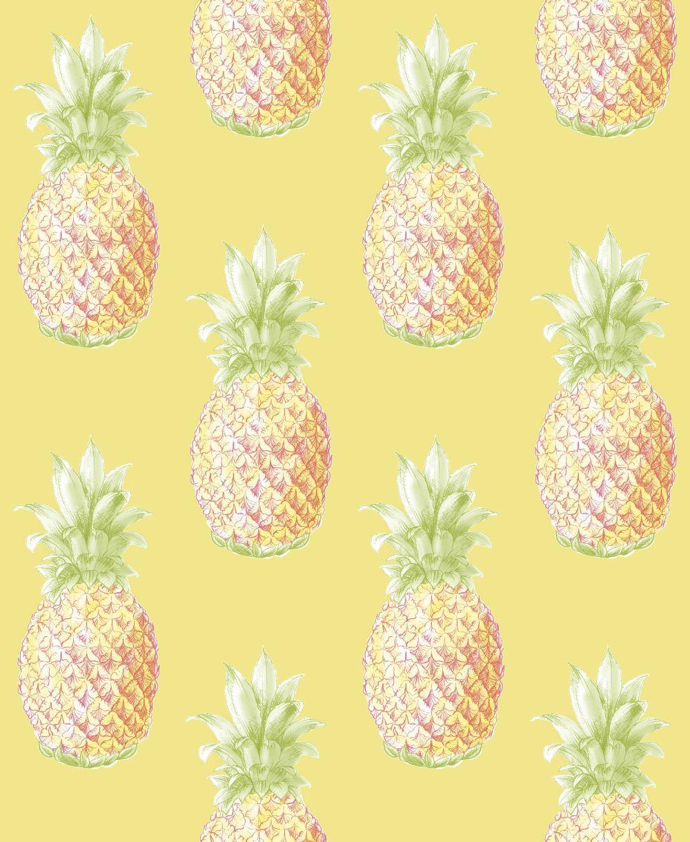 Aloha Wallpapers - Top Free Aloha Backgrounds - WallpaperAccess