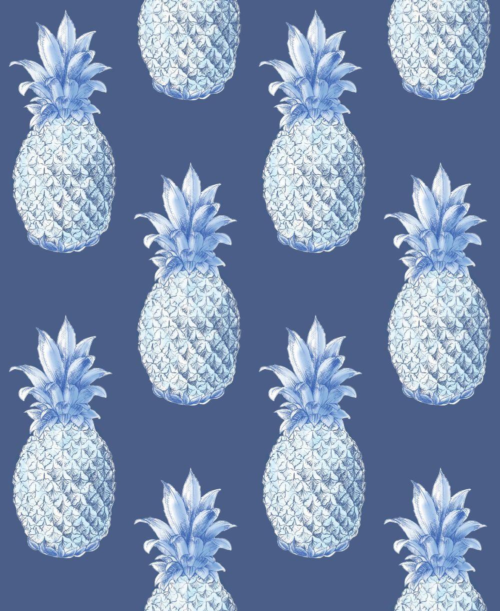 Aloha Wallpapers - Top Free Aloha Backgrounds - WallpaperAccess