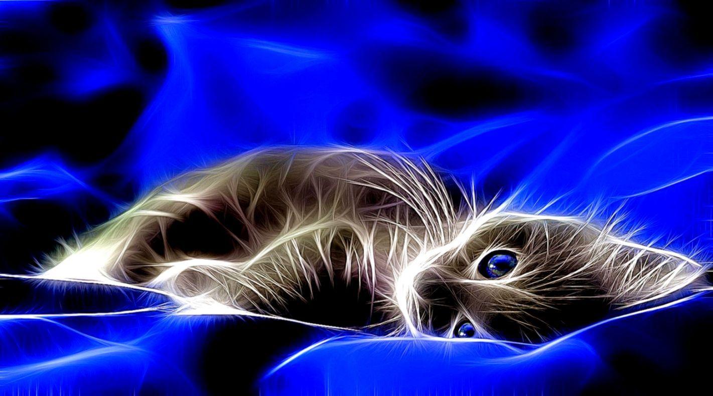 4D Abstract Wallpapers - Top Free 4D Abstract Backgrounds - WallpaperAccess