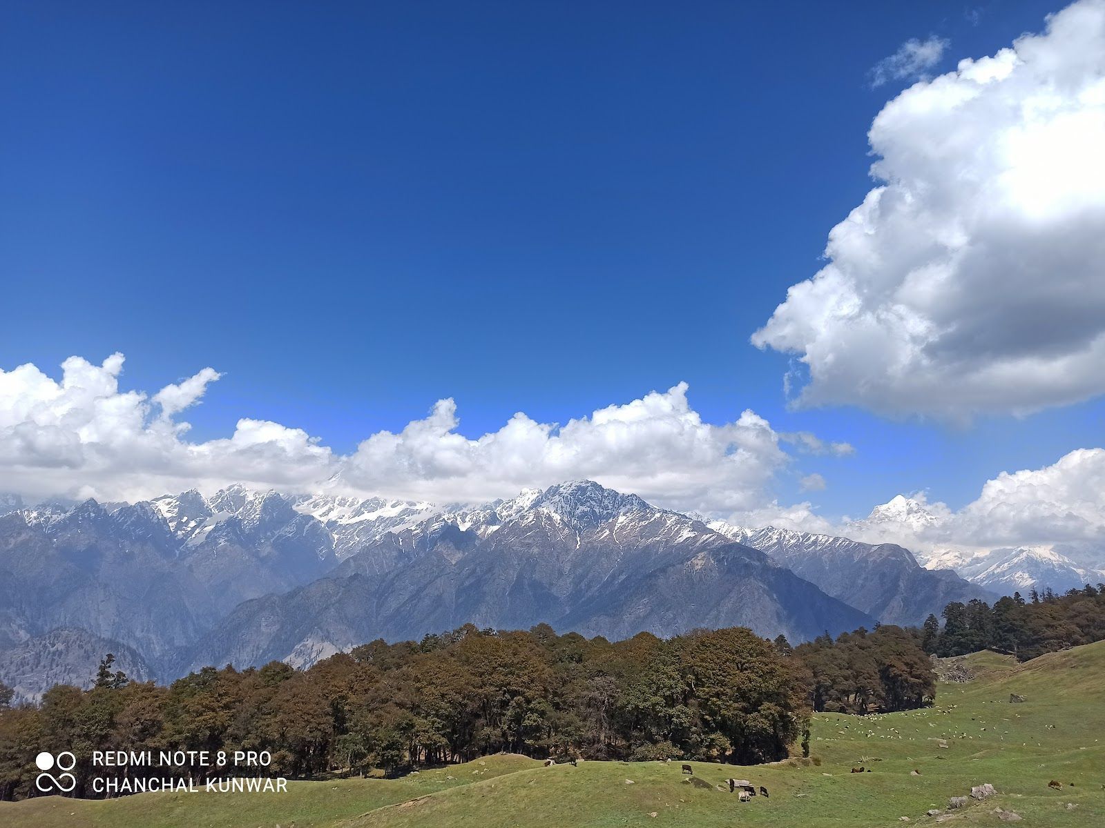 Auli Wallpapers - Top Free Auli Backgrounds - WallpaperAccess