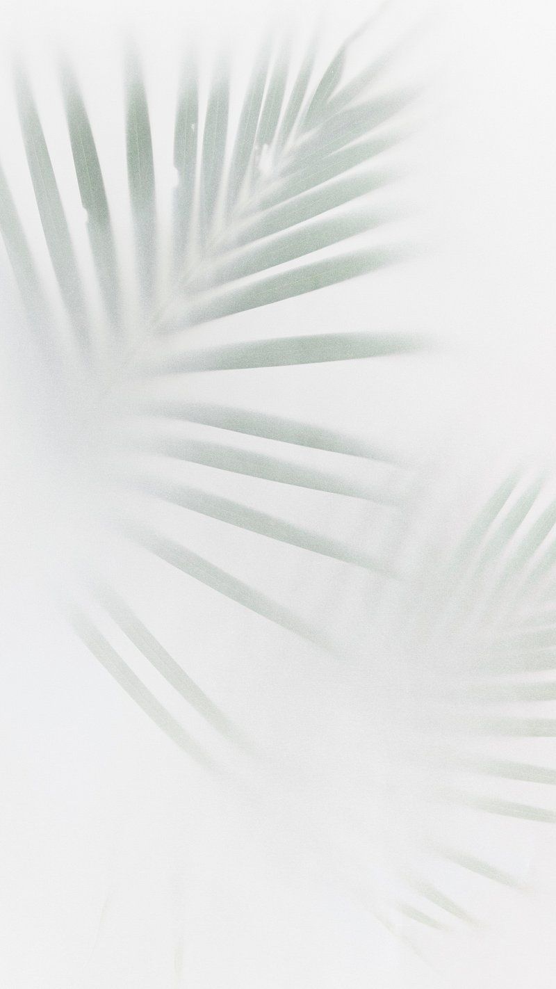 White Shadow Wallpapers - Top Free White Shadow Backgrounds ...