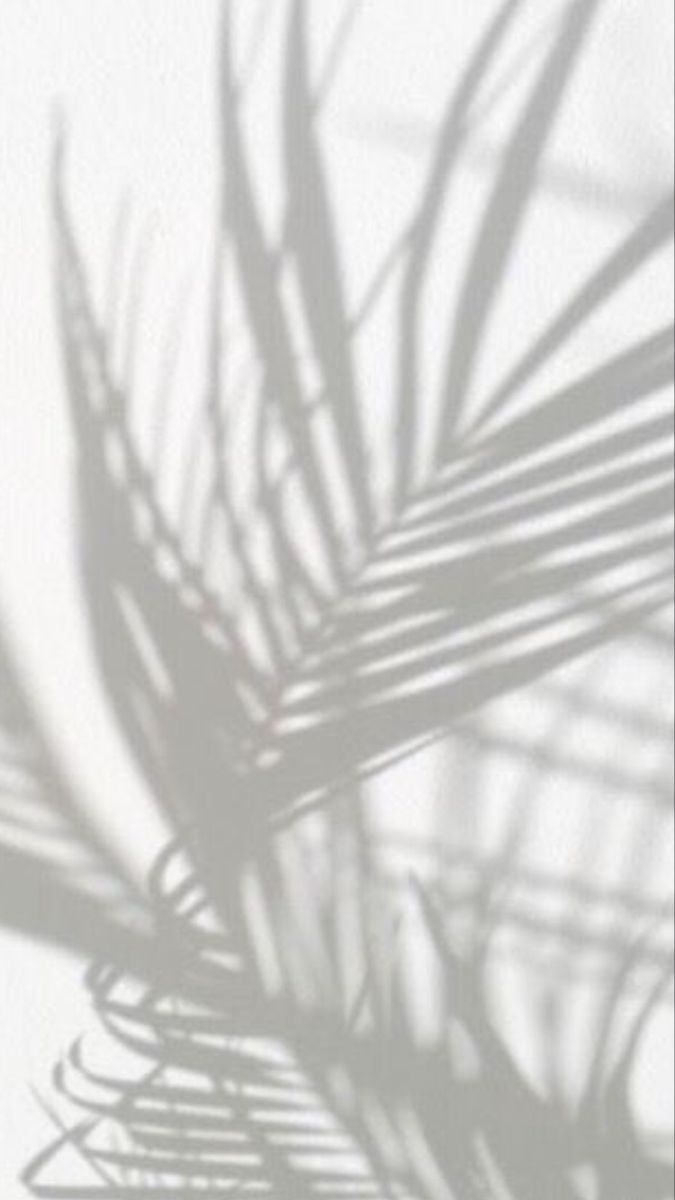 White Shadow Wallpapers - Top Free White Shadow Backgrounds ...