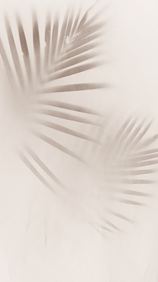 White Shadow Wallpapers - Top Free White Shadow Backgrounds ...