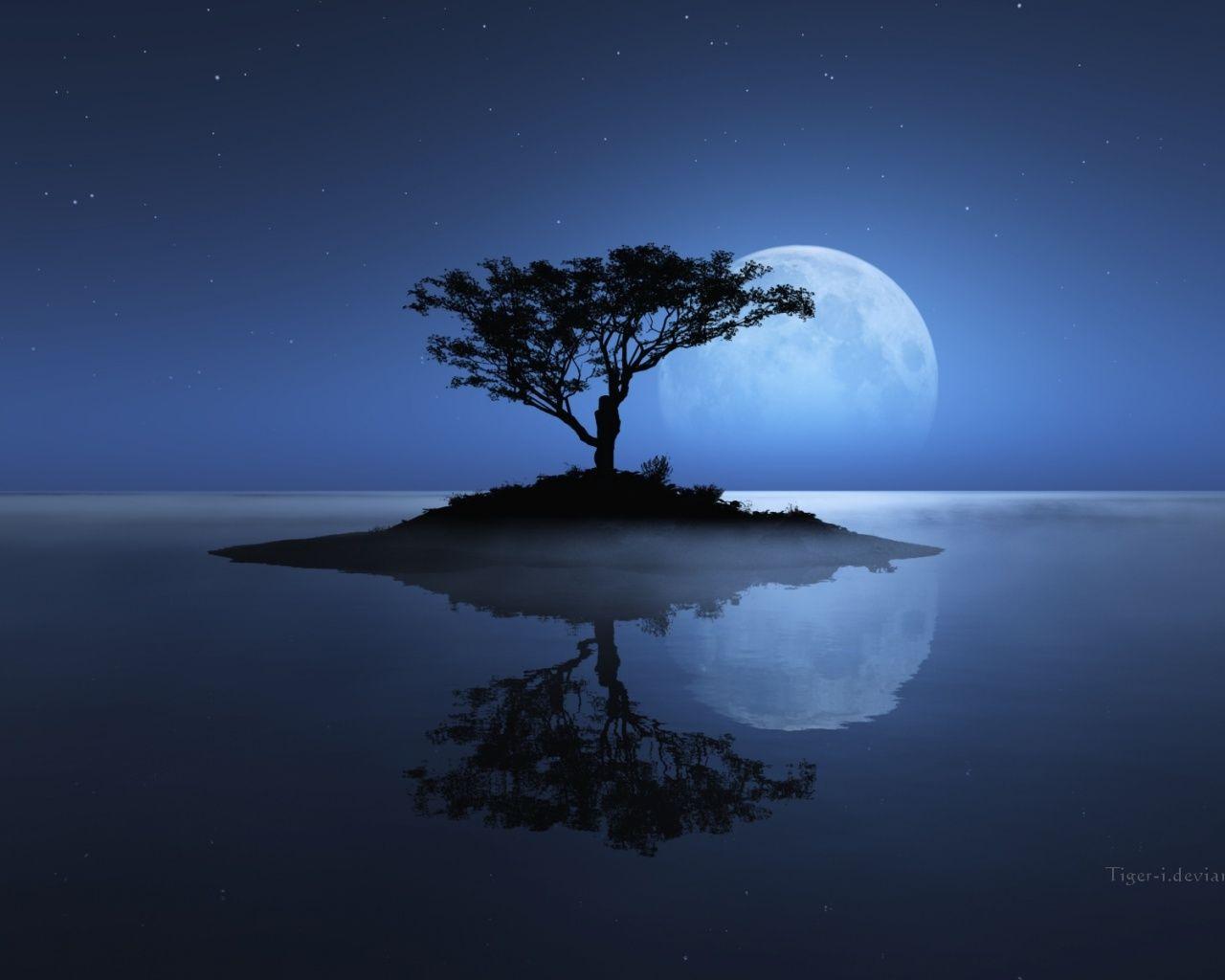 Home Alone Computer Wallpapers - Top Free Home Alone Computer ...