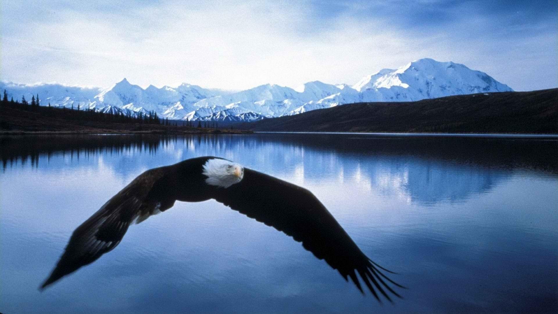 Alaska Desktop Wallpapers - Top Free Alaska Desktop Backgrounds ...