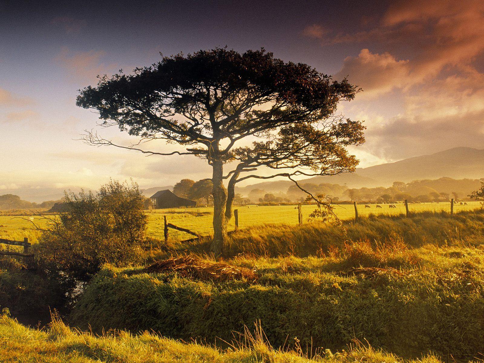Wales Desktop Wallpapers - Top Free Wales Desktop Backgrounds ...