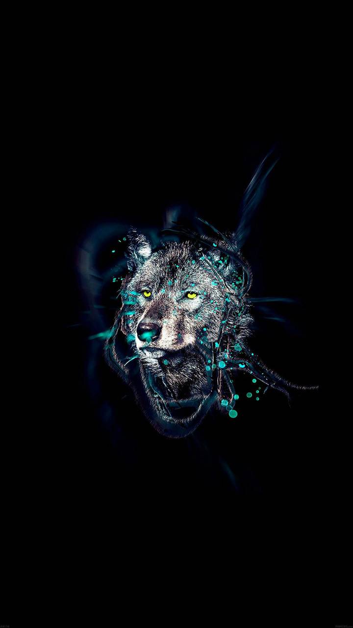 Wolf Face Wallpapers - Top Free Wolf Face Backgrounds - WallpaperAccess