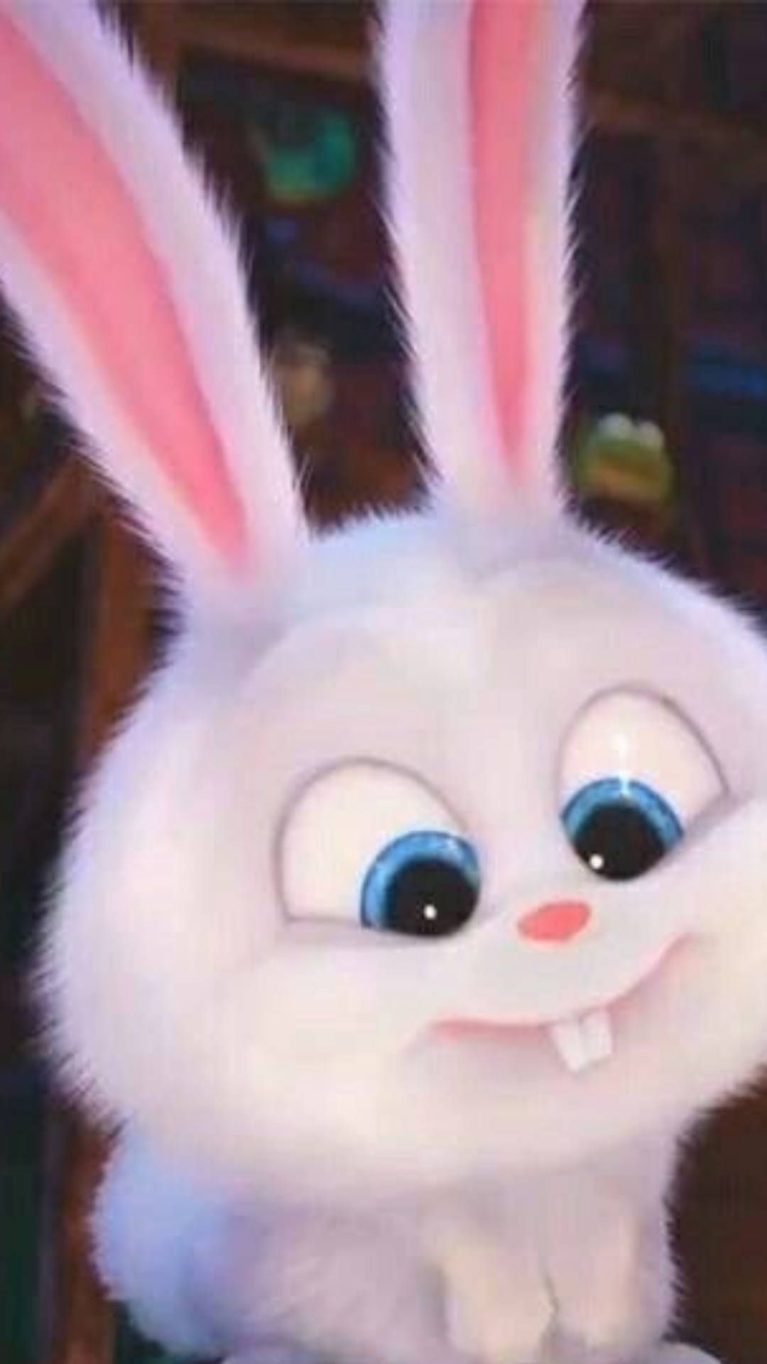 Snowball Bunny Wallpapers - Top Free Snowball Bunny Backgrounds ...