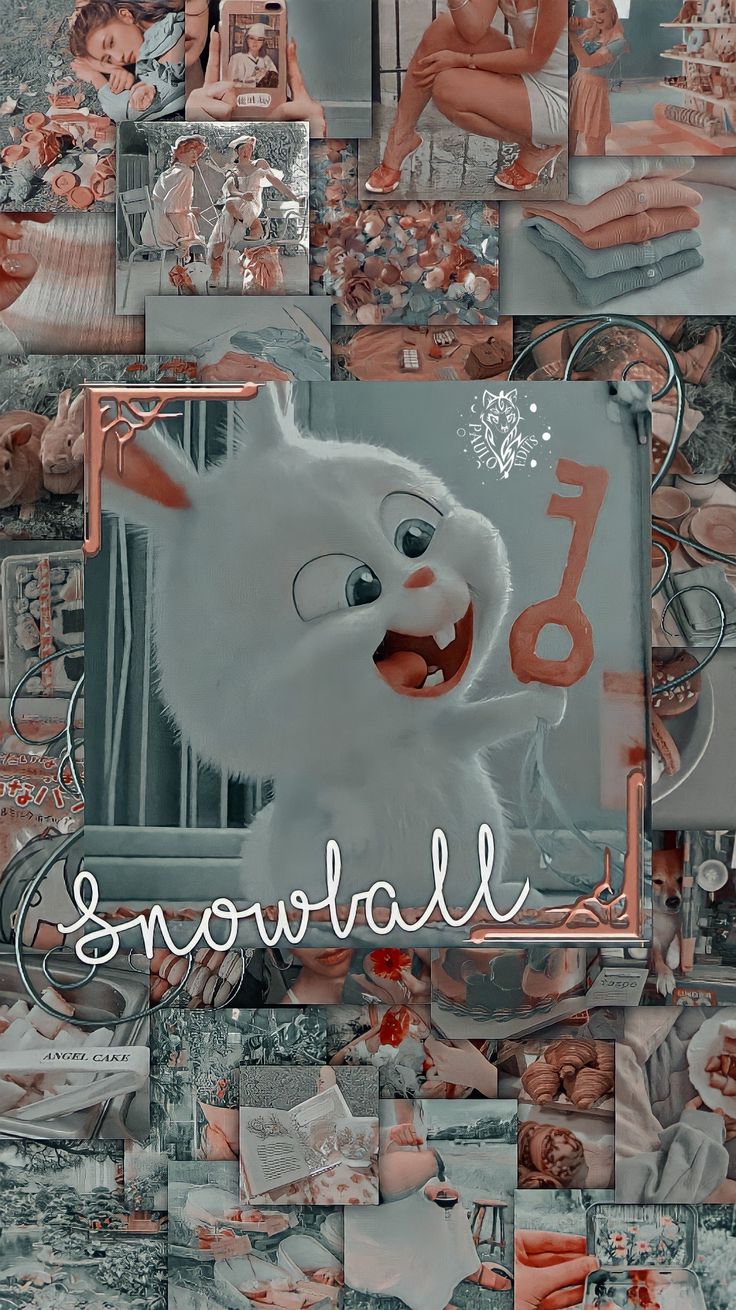 Snowball Bunny Wallpapers - Top Free Snowball Bunny Backgrounds ...