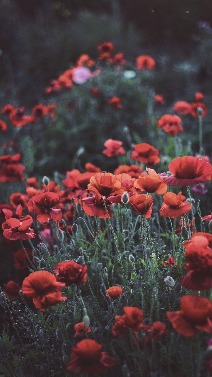 Rustic Flowers Wallpapers - Top Free Rustic Flowers Backgrounds ...