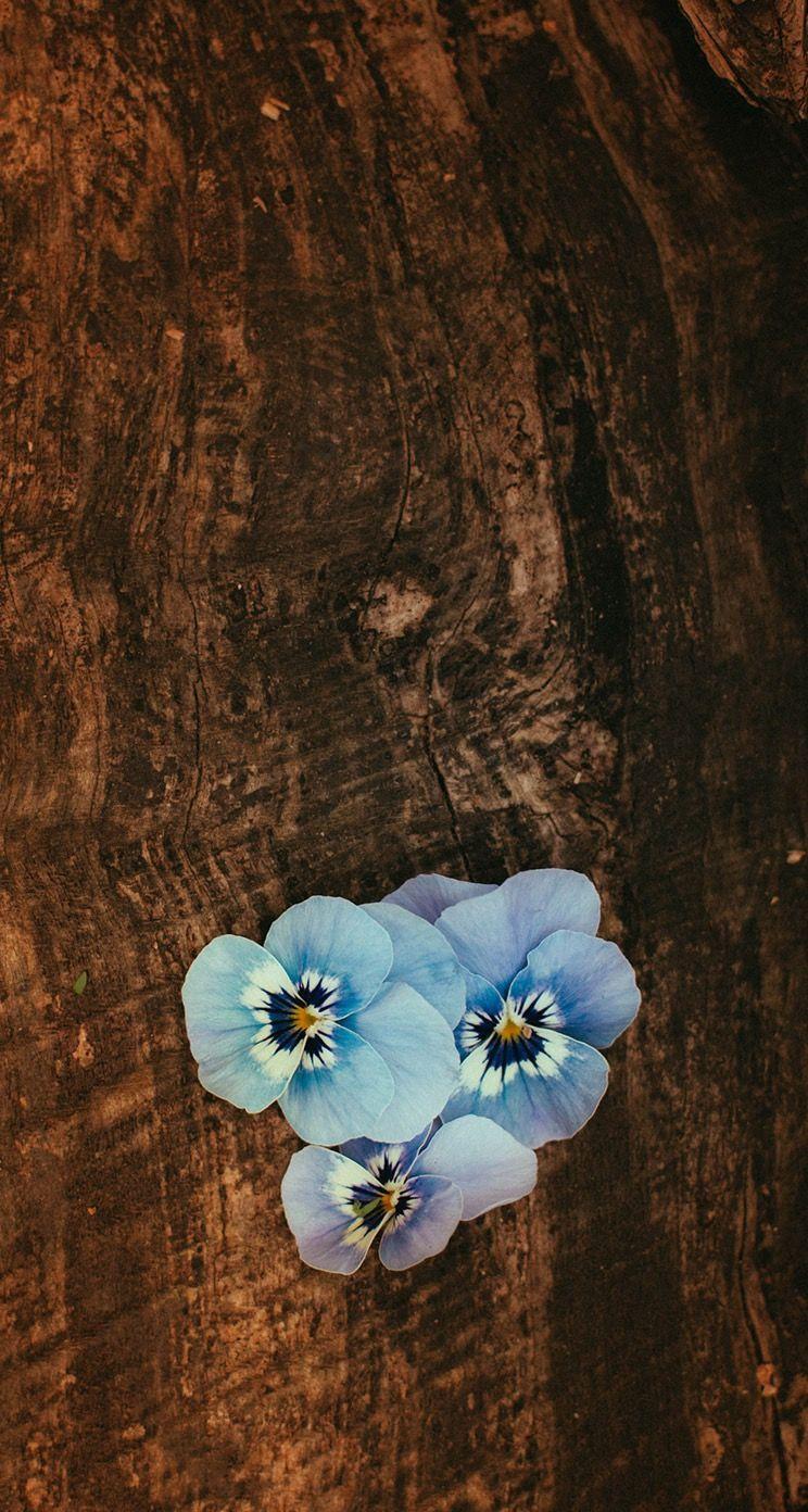 Rustic Flowers Wallpapers - Top Free Rustic Flowers Backgrounds ...