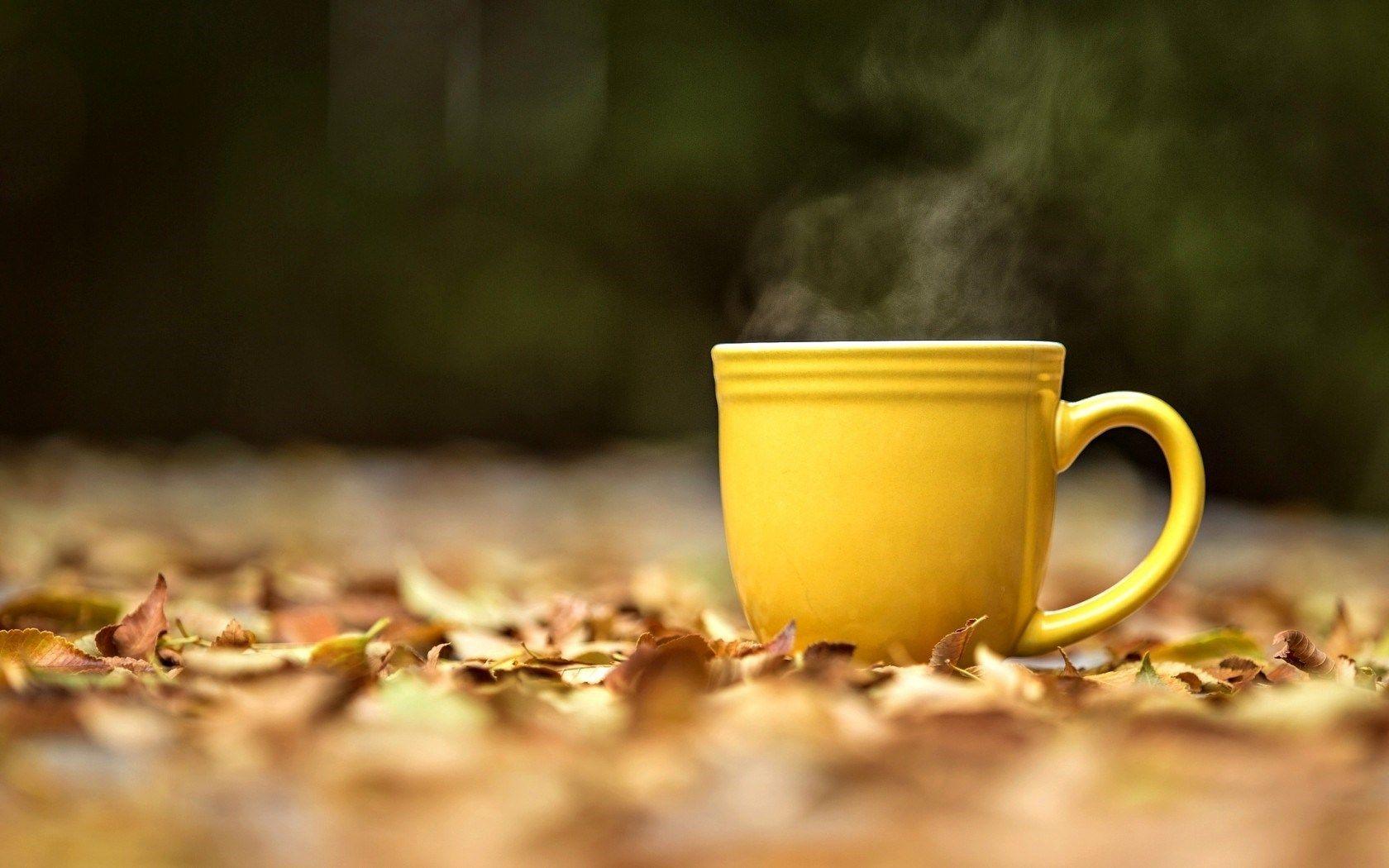 Cup Wallpapers - Top Free Cup Backgrounds - WallpaperAccess