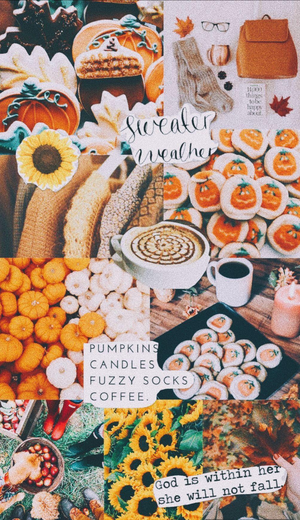 Pinterest Autumn Wallpapers - Top Free Pinterest Autumn Backgrounds ...
