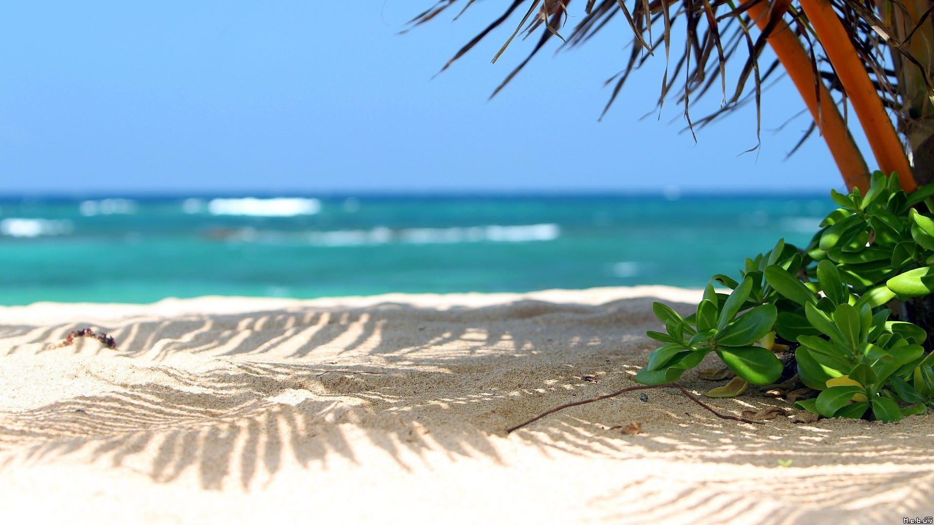 Pinterest Summer Desktop Wallpapers - Top Free Pinterest Summer Desktop ...