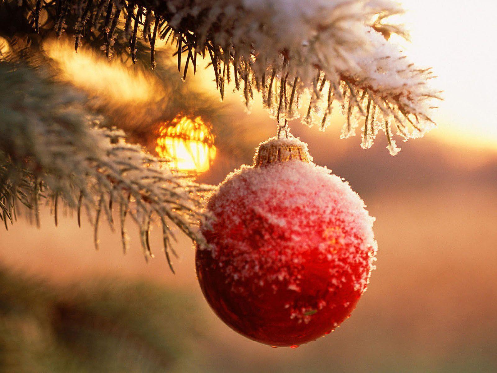 Christmas Ornament Wallpapers - Top Free Christmas Ornament Backgrounds ...