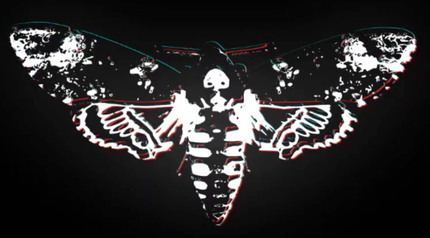 Cicada 3301 Wallpapers - Top Free Cicada 3301 Backgrounds - WallpaperAccess