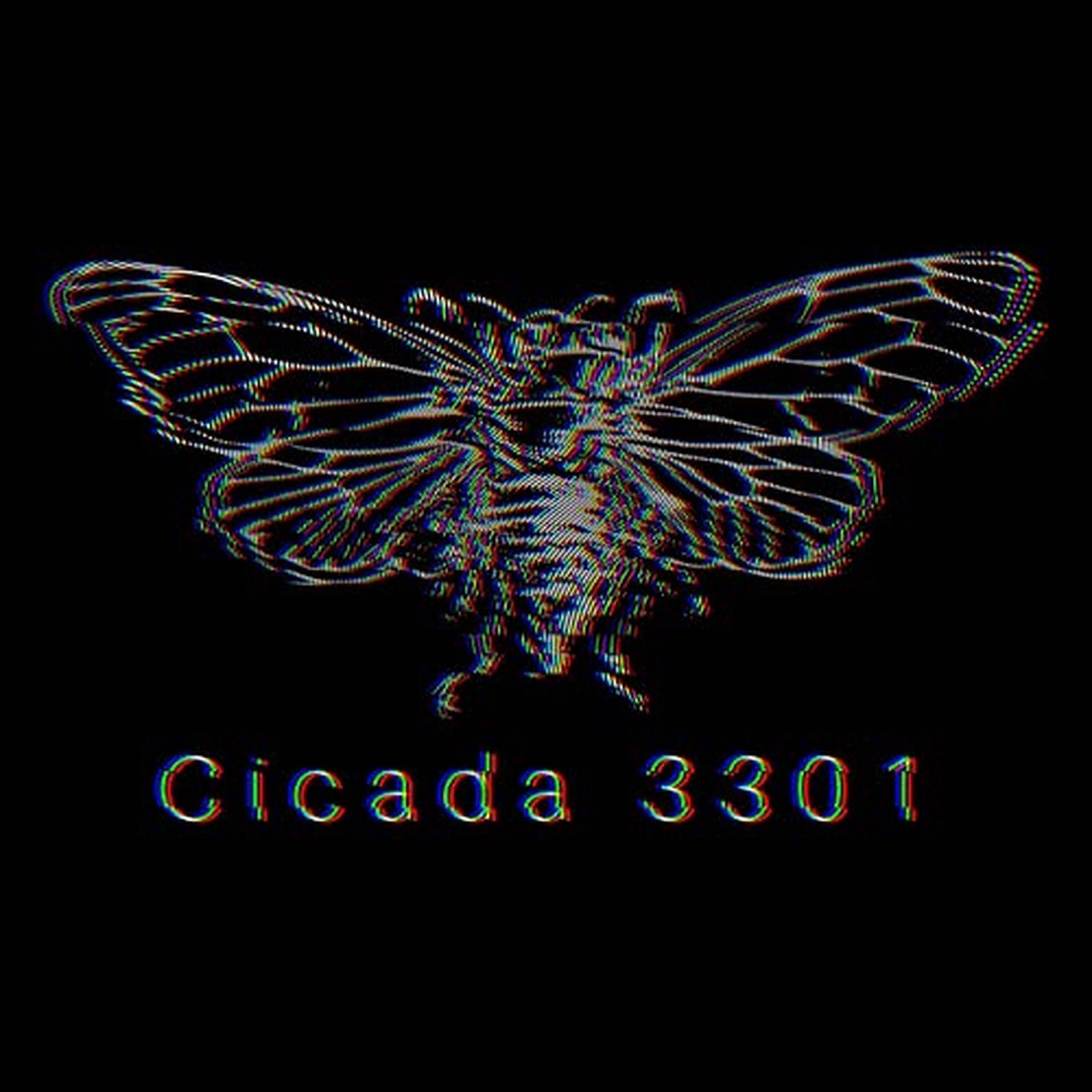 Cicada 3301 Wallpapers - Top Free Cicada 3301 Backgrounds - WallpaperAccess
