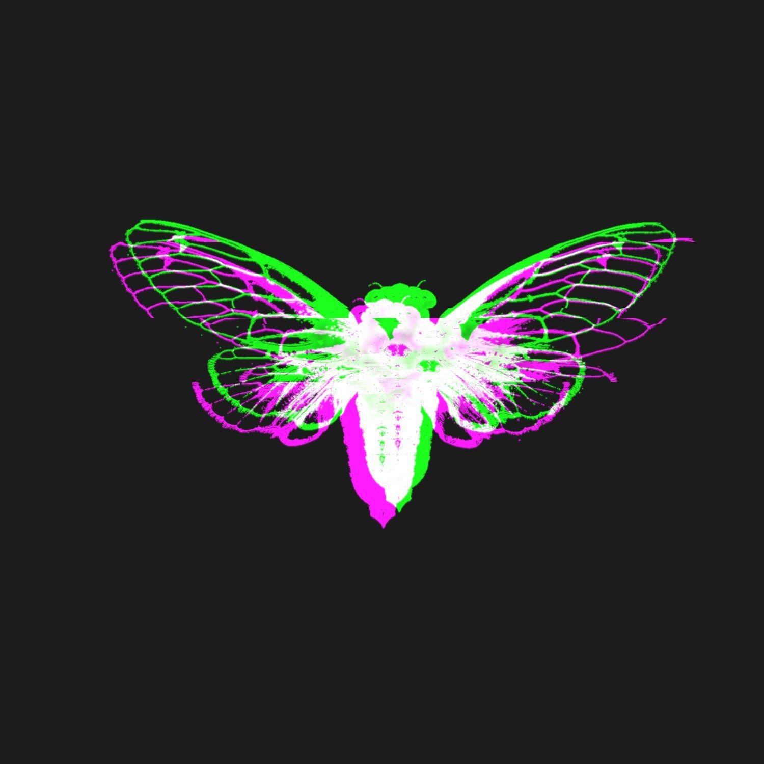 Cicada 3301 Wallpapers - Top Free Cicada 3301 Backgrounds - WallpaperAccess
