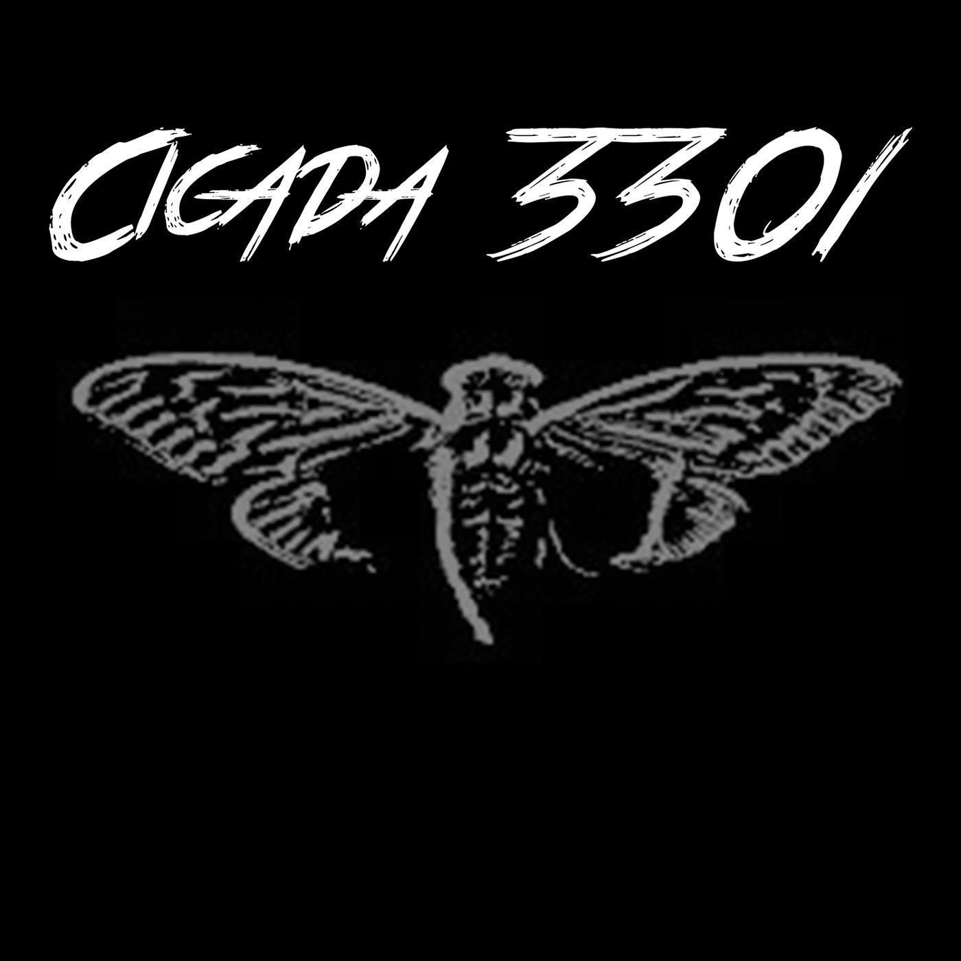 Cicada 3301 Wallpapers - Top Free Cicada 3301 Backgrounds - WallpaperAccess