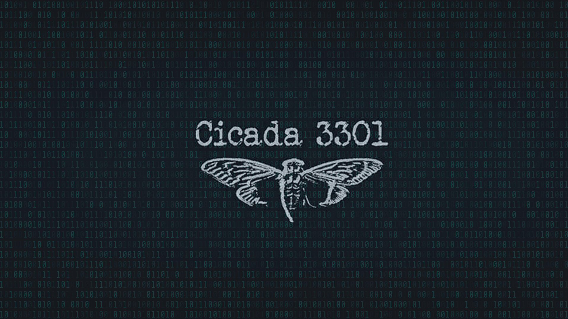 Cicada 3301 Wallpapers - Top Free Cicada 3301 Backgrounds - WallpaperAccess Cicada 3301 Wallpapers - Top Free Cicada 3301 Backgrounds - WallpaperAccess
