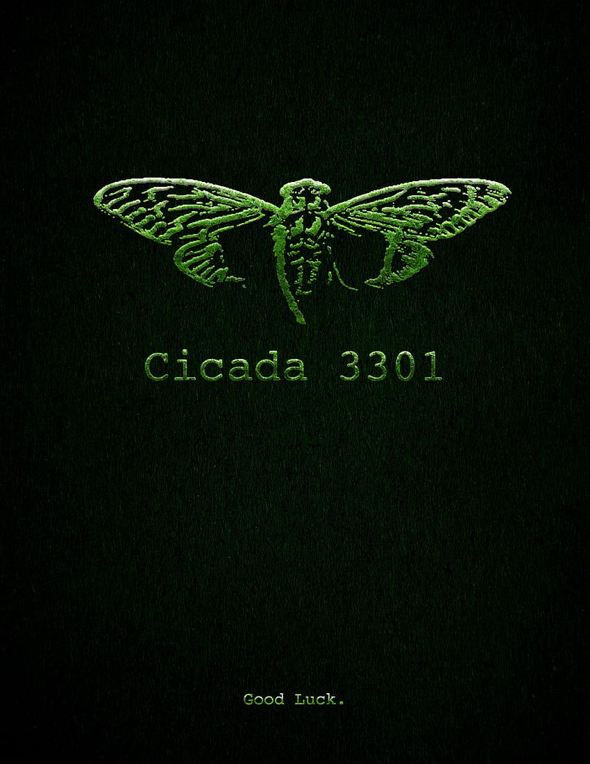 Cicada 3301 Wallpapers - Top Free Cicada 3301 Backgrounds - WallpaperAccess