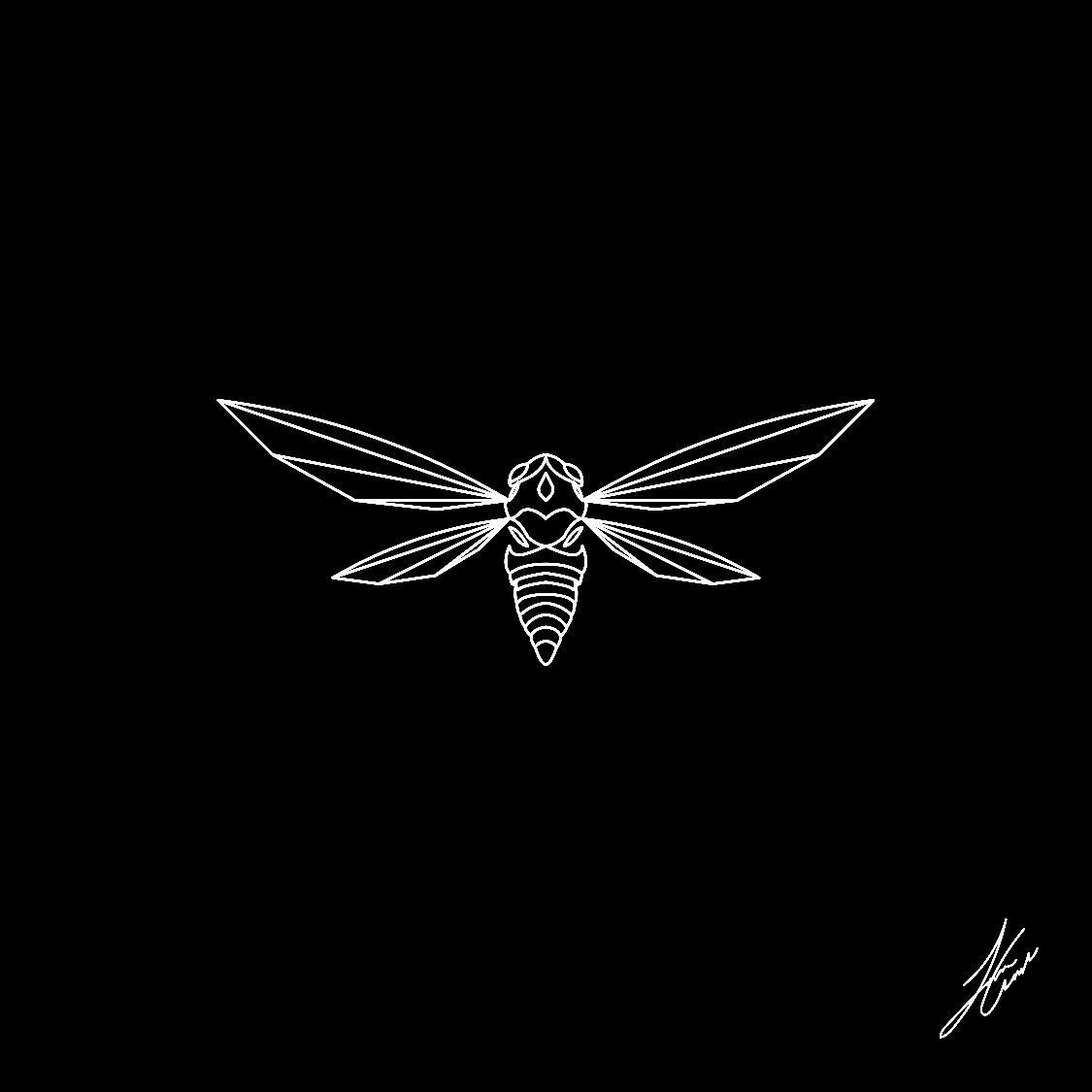 Cicada 3301 Wallpapers - Top Free Cicada 3301 Backgrounds - WallpaperAccess