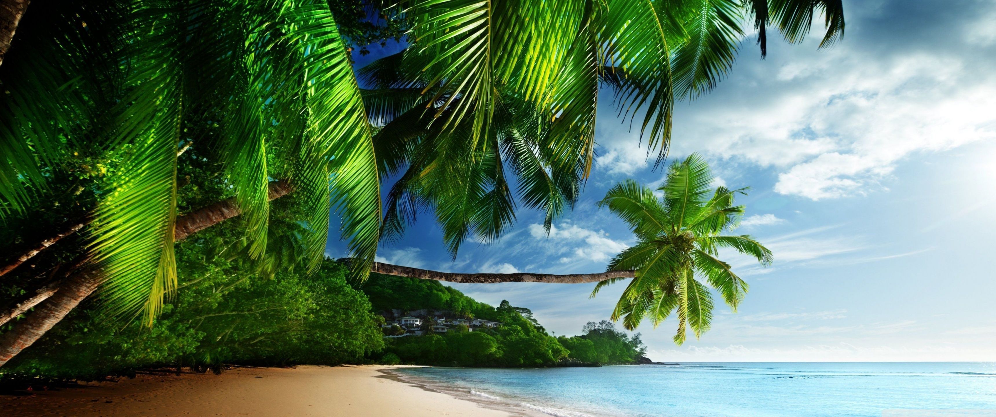 3440x1440 Beach Wallpapers - Top Free 3440x1440 Beach Backgrounds ...