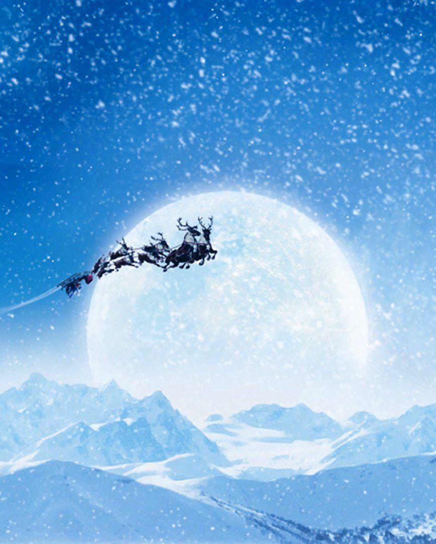 Florida Christmas Wallpapers - Top Free Florida Christmas Backgrounds ...