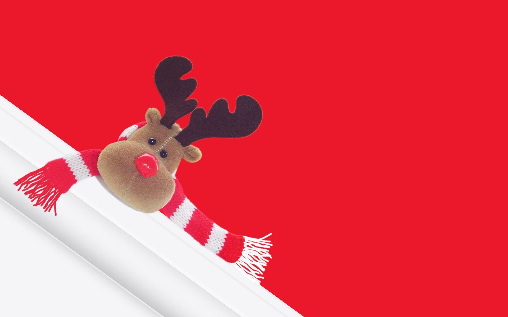 Christmas Reindeer Wallpapers - Top Free Christmas Reindeer Backgrounds ...