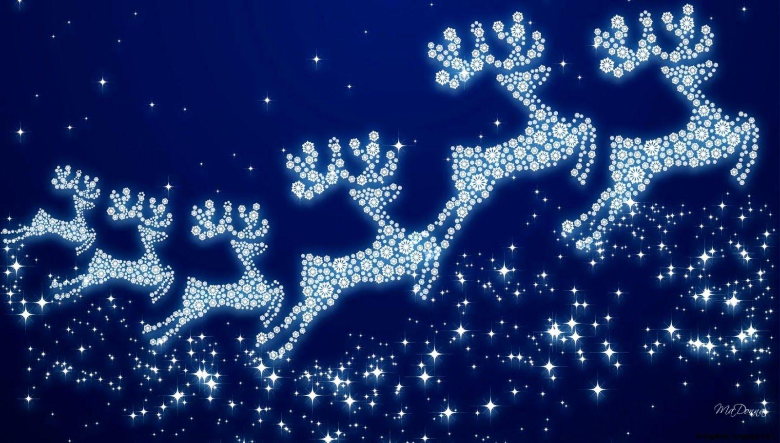Christmas Reindeer Wallpapers - Top Free Christmas Reindeer Backgrounds ...