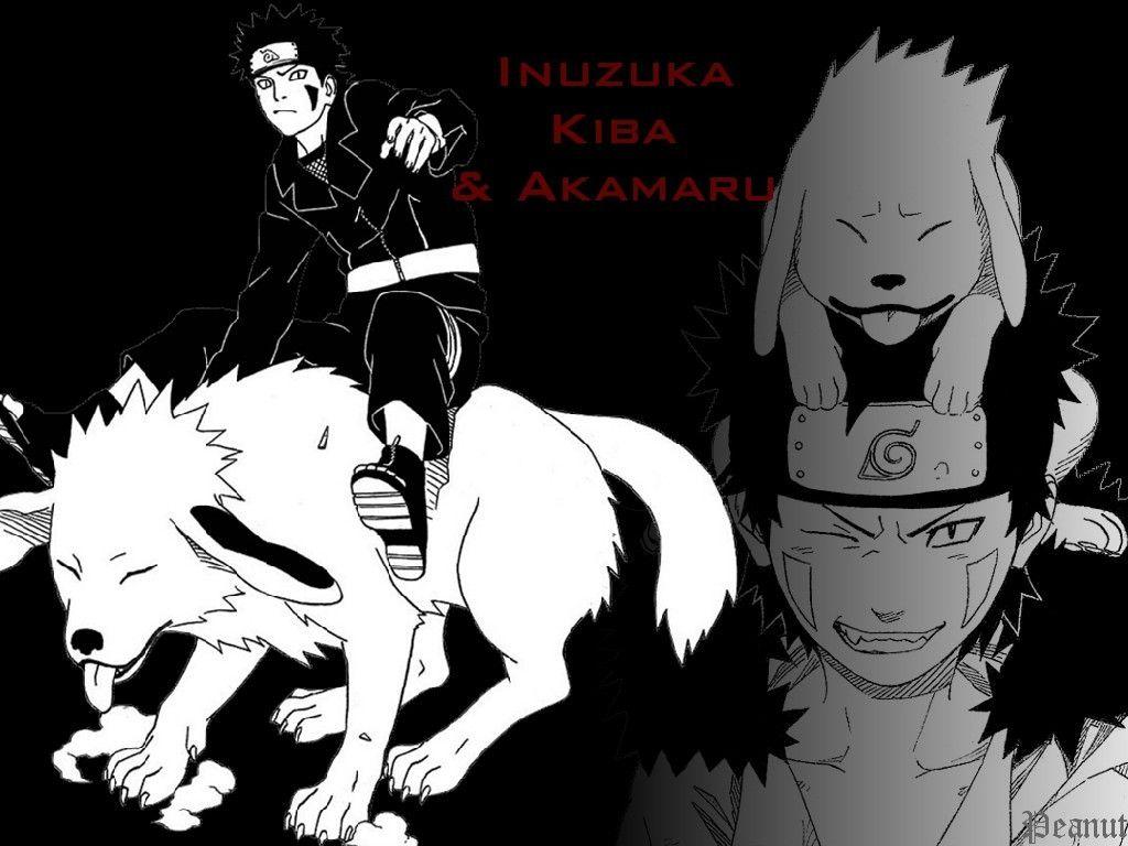 Kiba Inuzuka Wallpapers - Top Free Kiba Inuzuka Backgrounds - WallpaperAccess