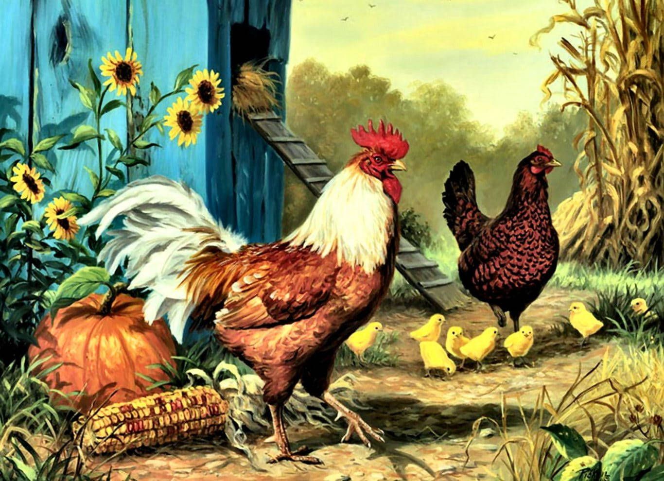 Chicken Farm Wallpapers - Top Free Chicken Farm Backgrounds ...