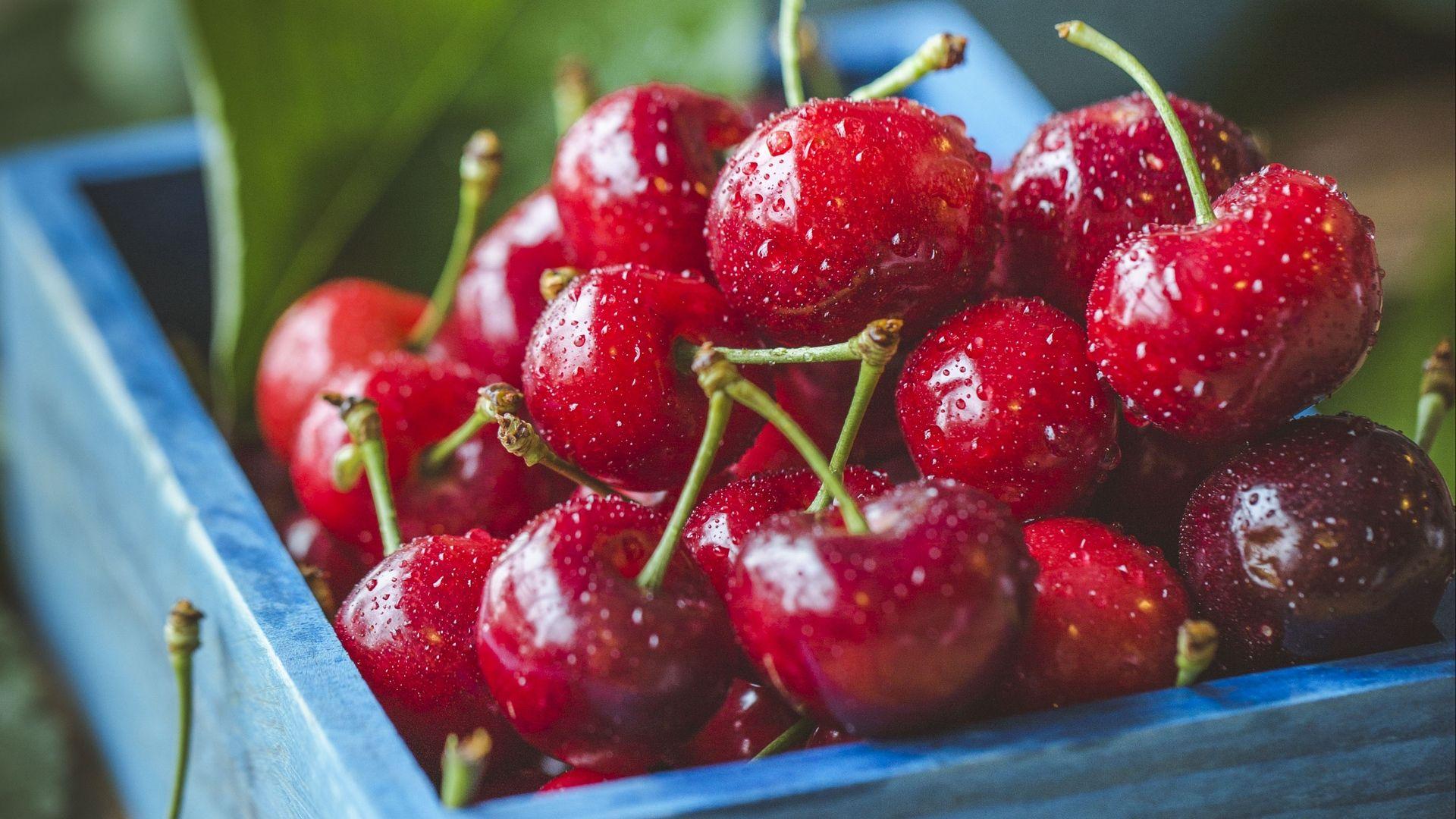 Cherries Wallpapers - Top Free Cherries Backgrounds - WallpaperAccess