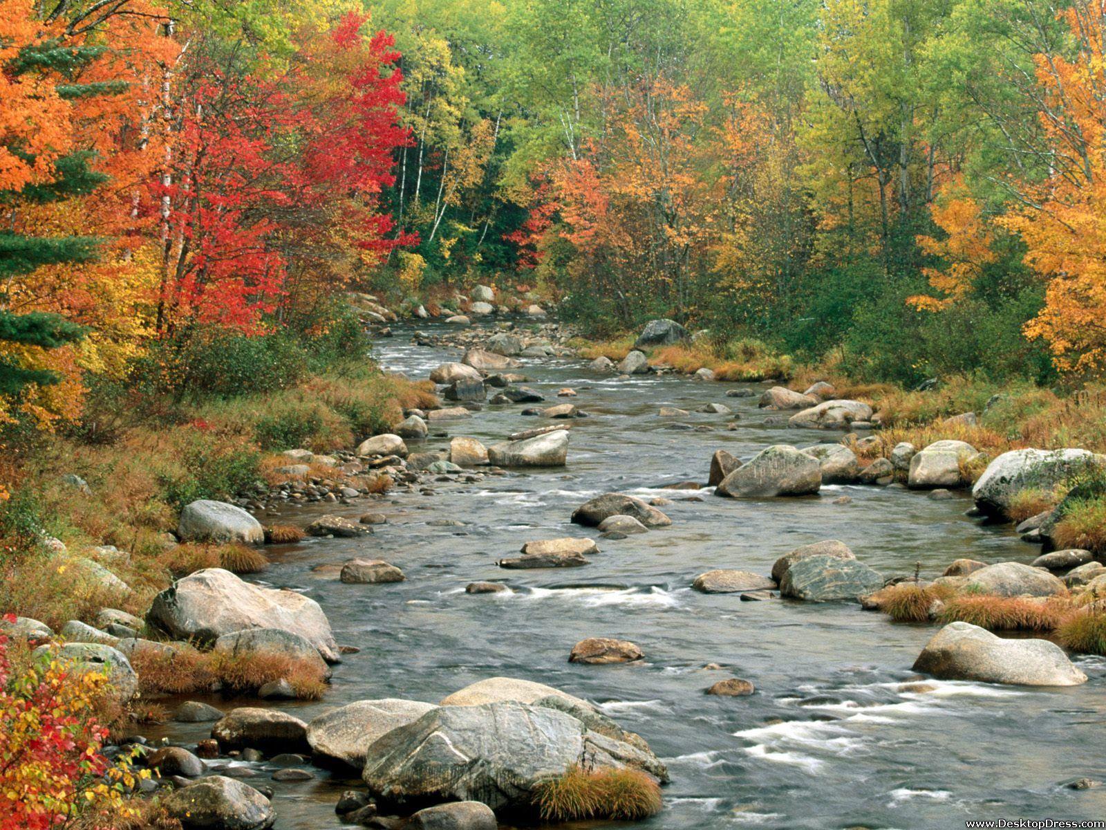 New Hampshire Wallpapers - Top Free New Hampshire Backgrounds ...
