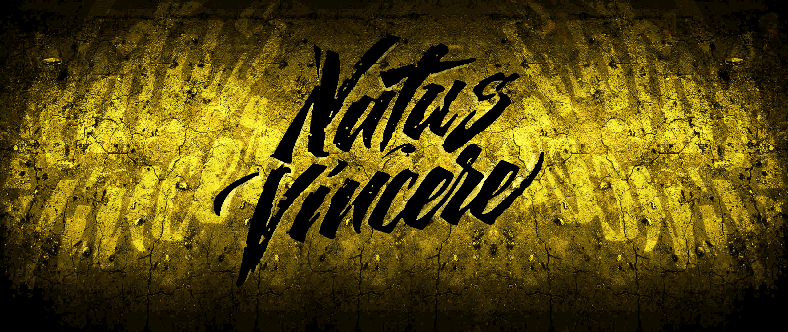 Natus Vincere Wallpapers - Top Free Natus Vincere Backgrounds - WallpaperAccess