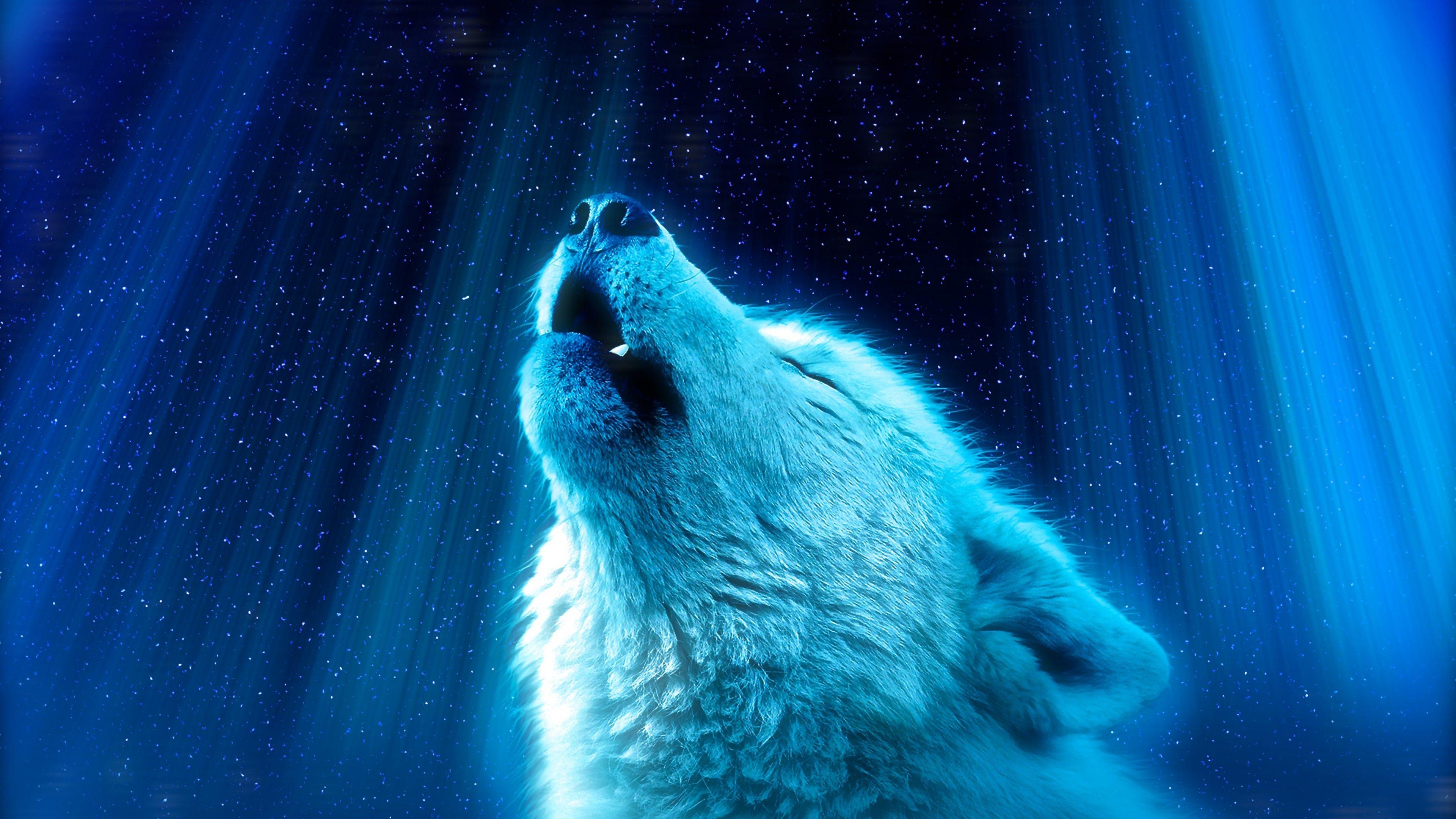 Light Wolf Wallpapers - Top Free Light Wolf Backgrounds - WallpaperAccess