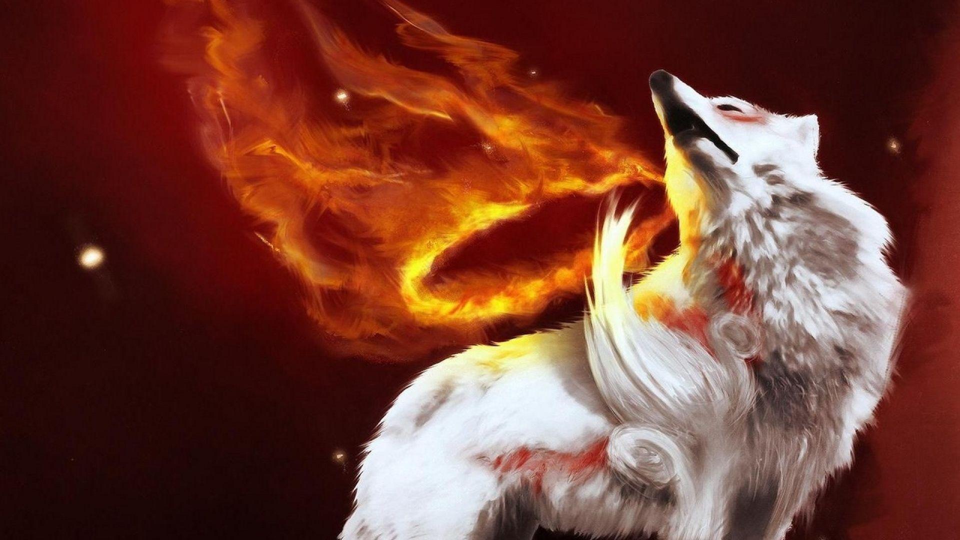 Light Wolf Wallpapers - Top Free Light Wolf Backgrounds - WallpaperAccess