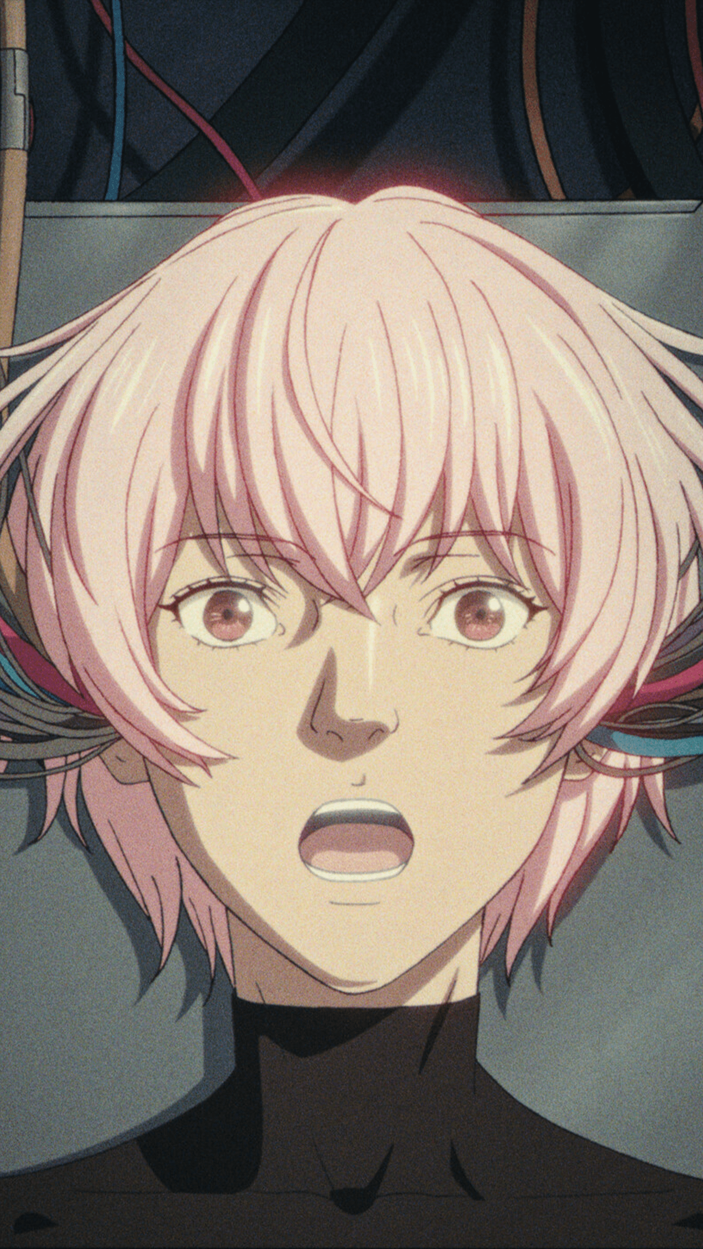 Tainy Wallpapers - Top Free Tainy Backgrounds - WallpaperAccess