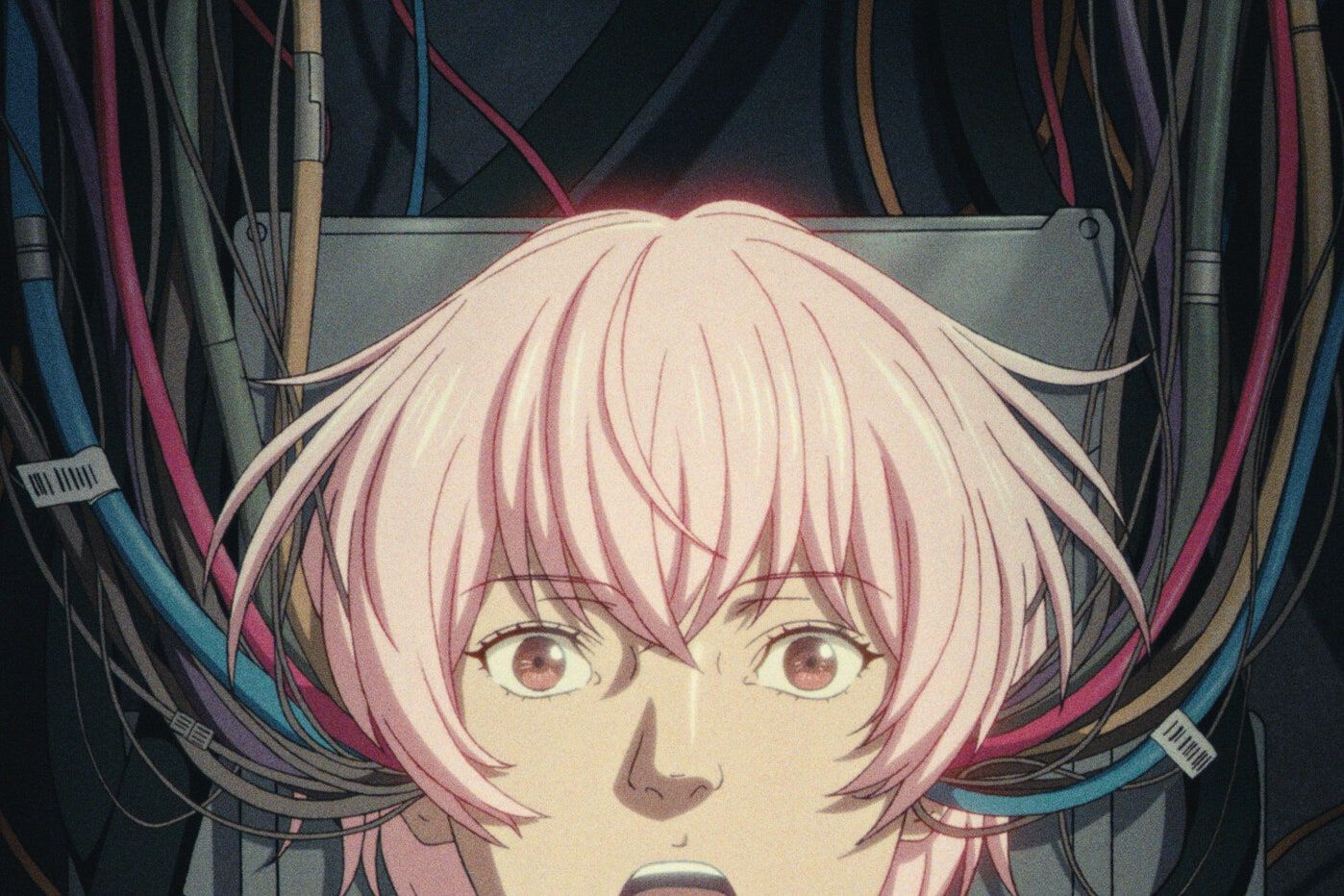 Tainy Wallpapers - Top Free Tainy Backgrounds - WallpaperAccess