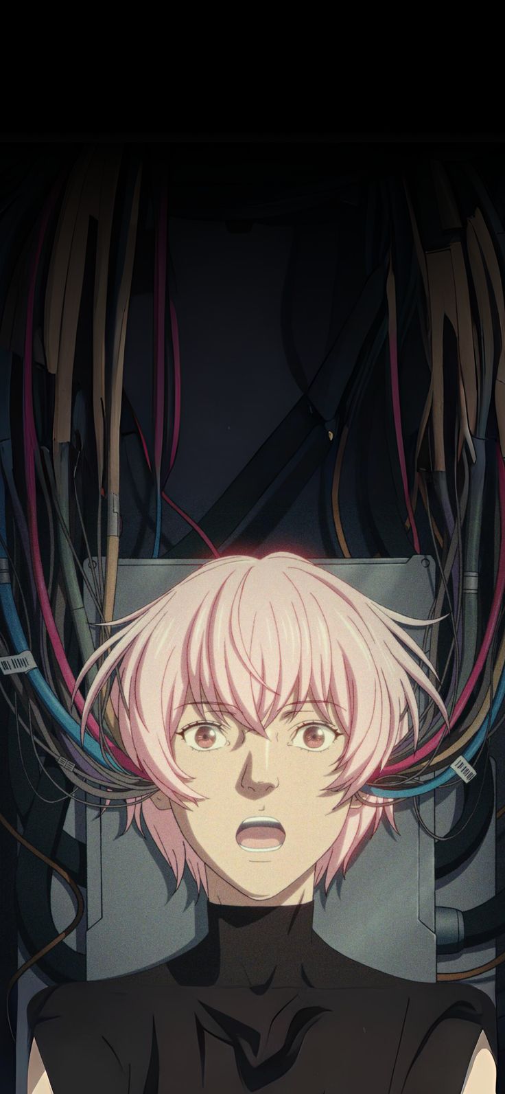 Tainy Wallpapers - Top Free Tainy Backgrounds - WallpaperAccess