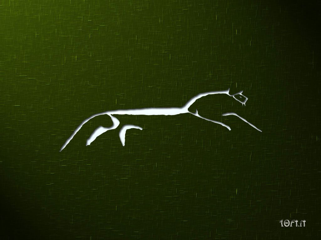 XTC Wallpapers - Top Free XTC Backgrounds - WallpaperAccess