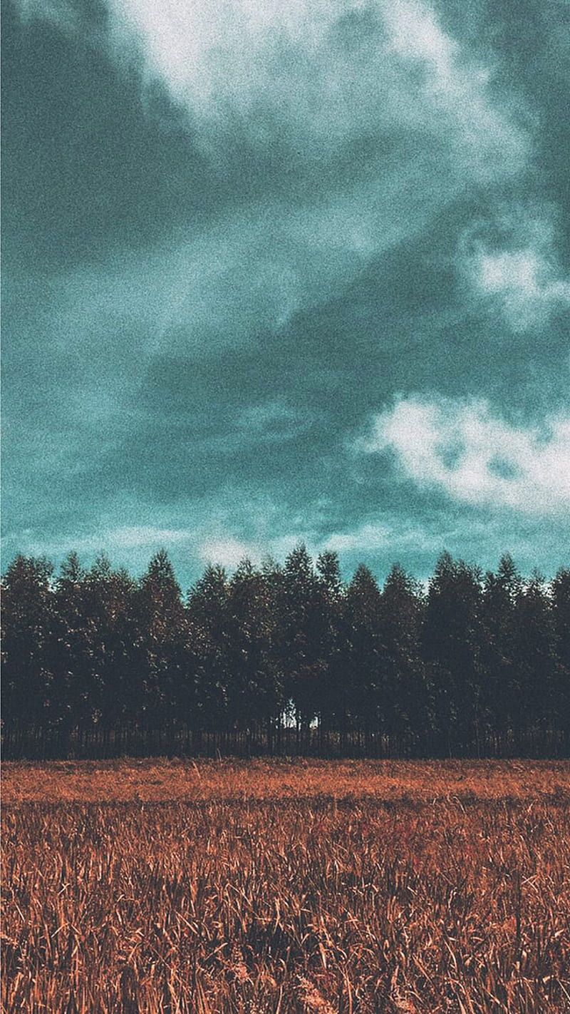 Lost Sky Wallpapers - Top Free Lost Sky Backgrounds - WallpaperAccess