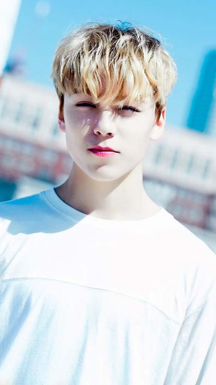 Vernon Wallpapers - Top Free Vernon Backgrounds - WallpaperAccess