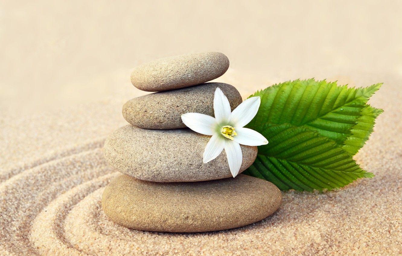 Zen Flowers Wallpapers - Top Free Zen Flowers Backgrounds - WallpaperAccess